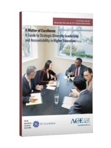 A Matter of Excellence - Damon A. Williams